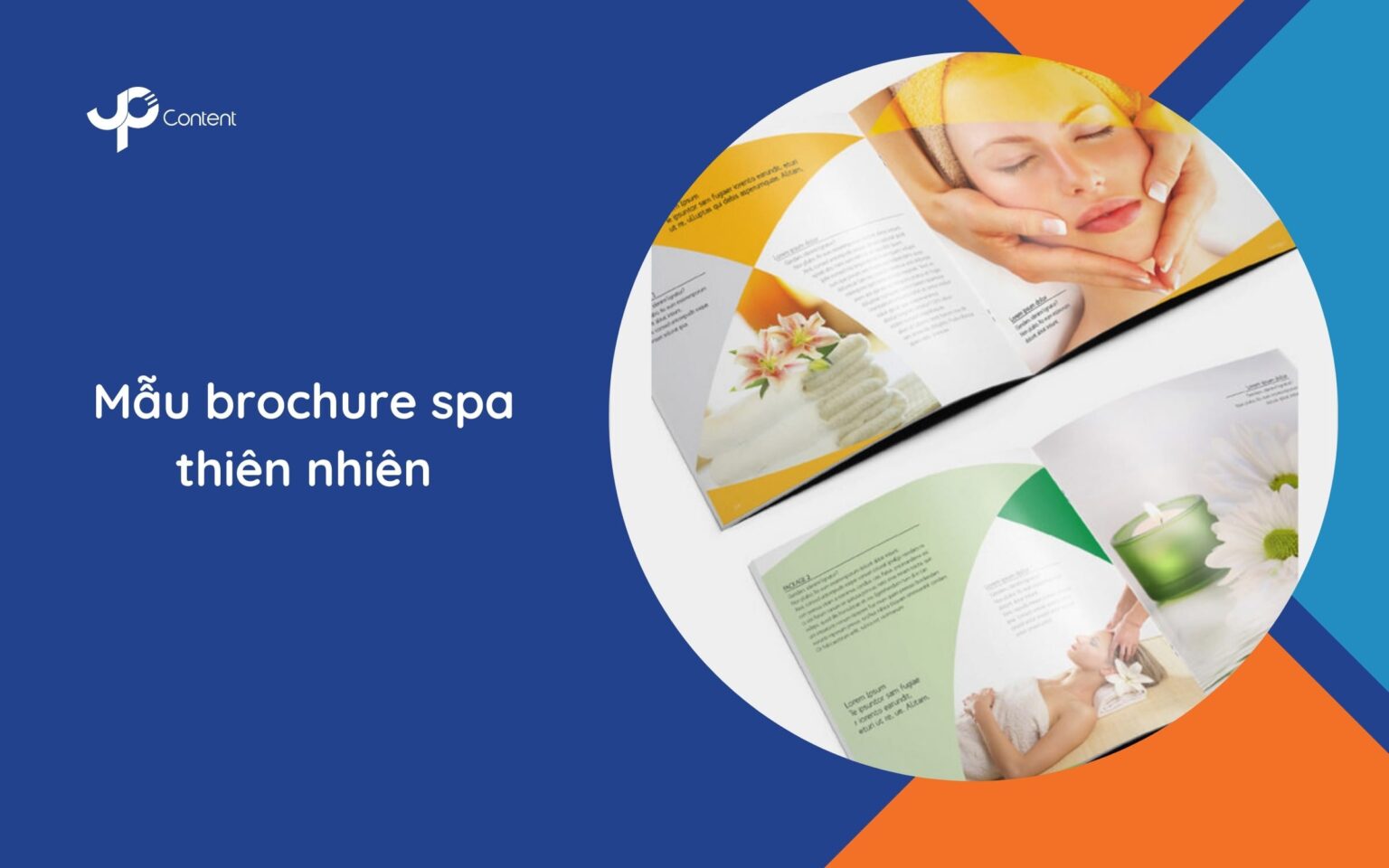 20+ Mẫu Brochure Spa ấn Tượng | Mẹo Thiết Kế Thu Hút 2025